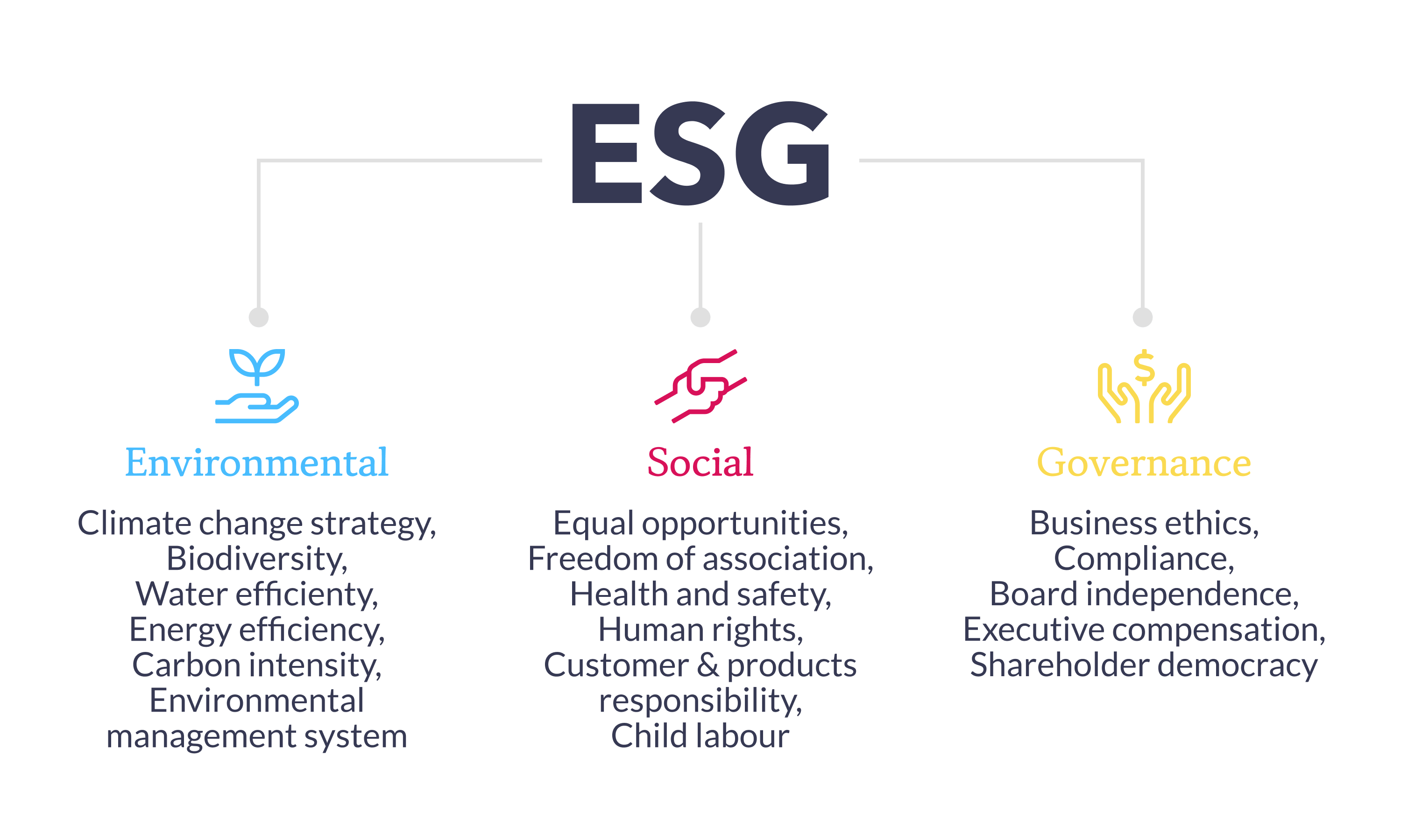 ESG - Creating a healthy company foundation